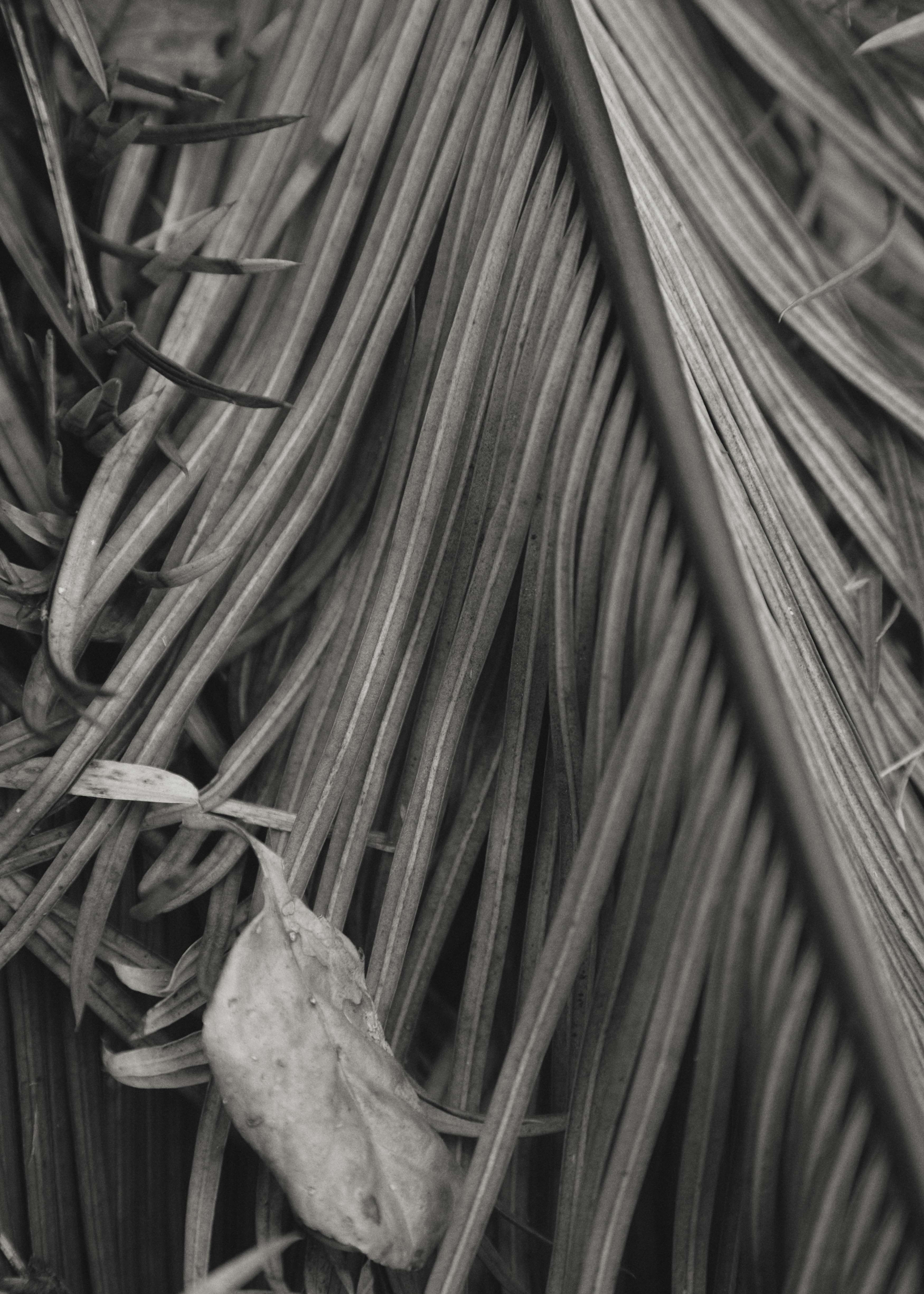 2022 Spring/Summer – Cornier