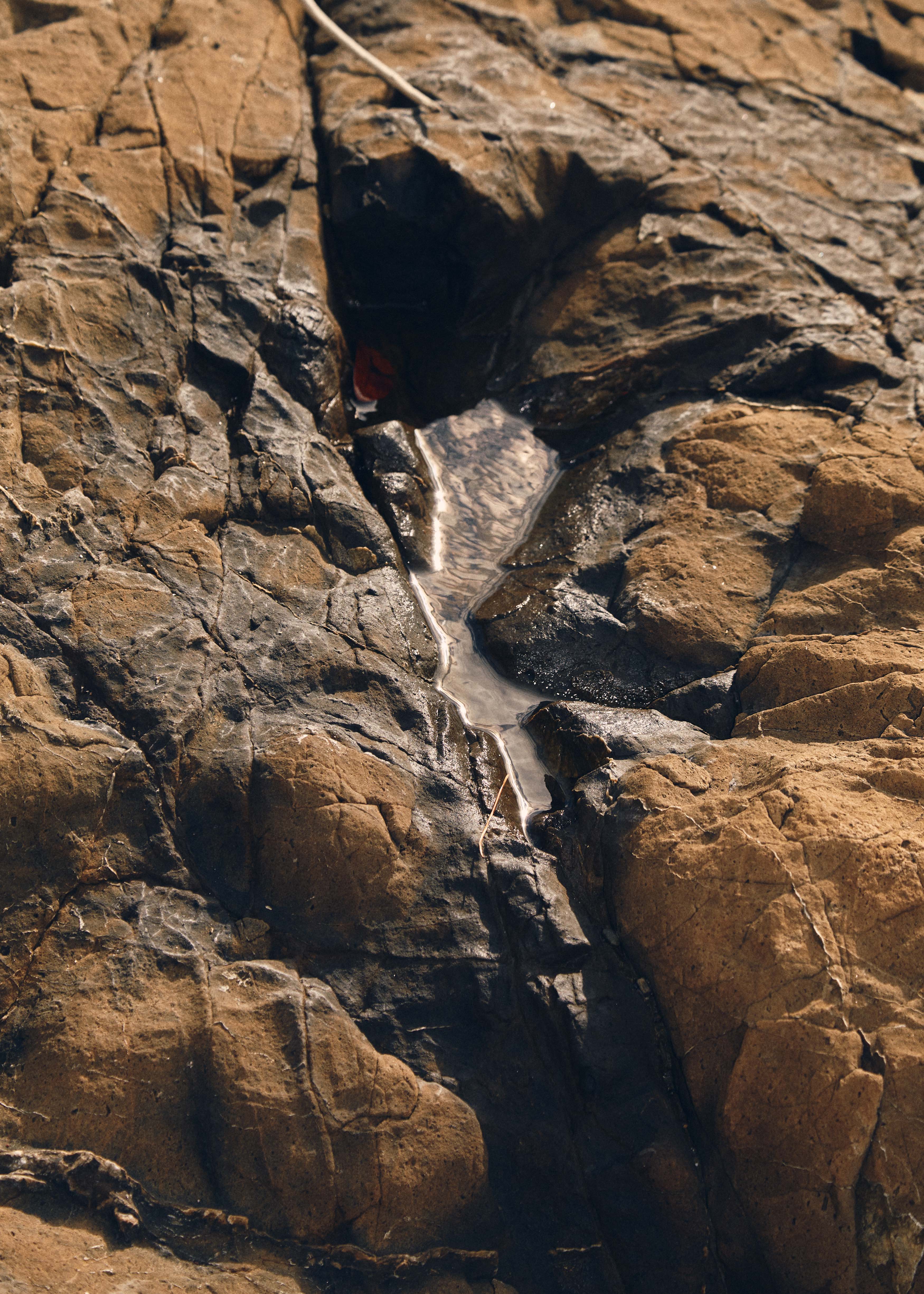 2022 Spring/Summer – Cornier